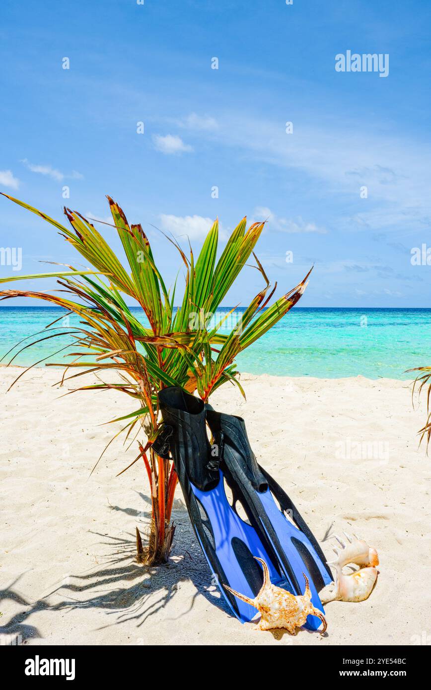 Flippers on the shore of the Indian Ocean. Maldives. Maldives Islands ...