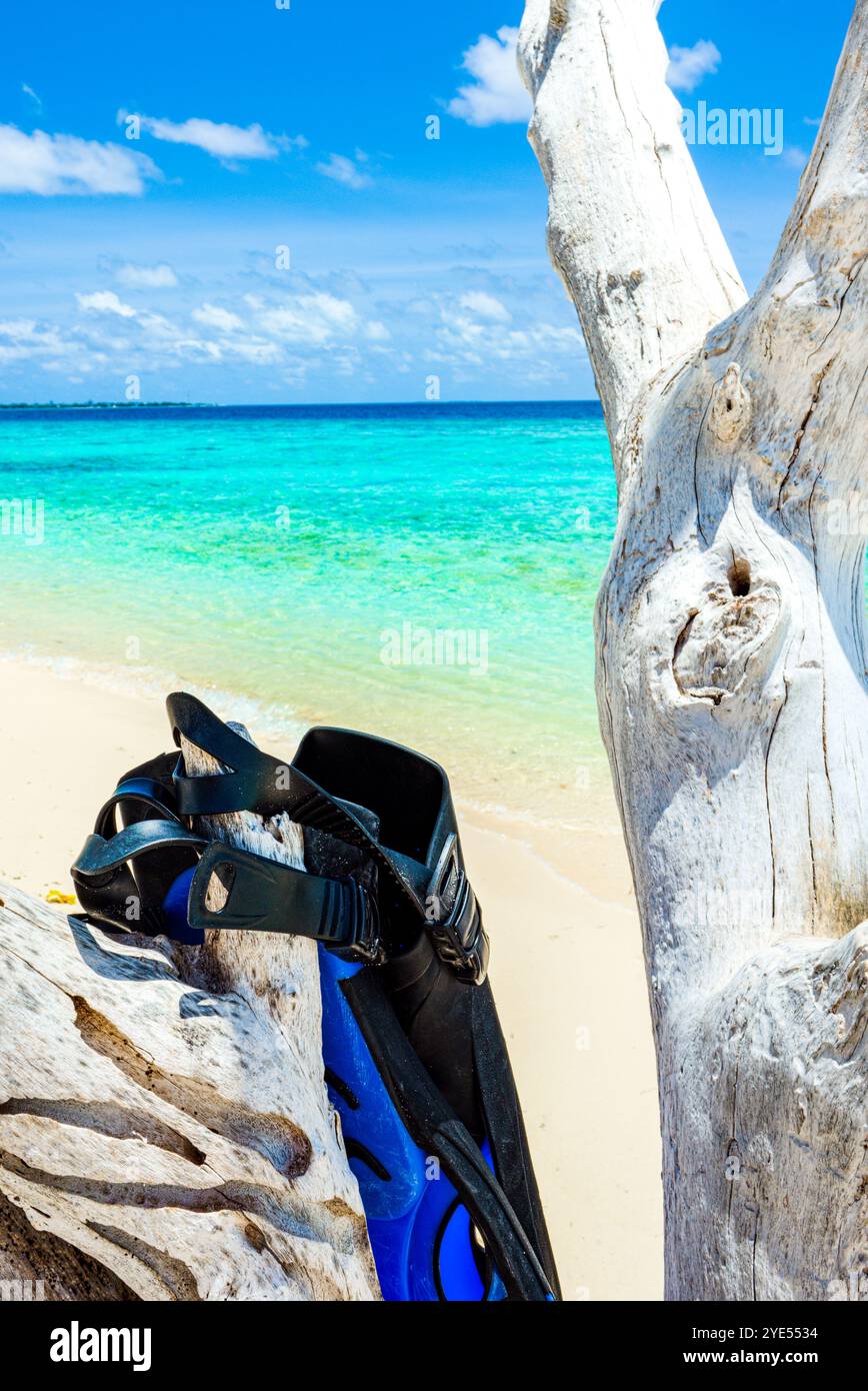 Flippers on the shore of the Indian Ocean. Maldives. Maldives Islands ...