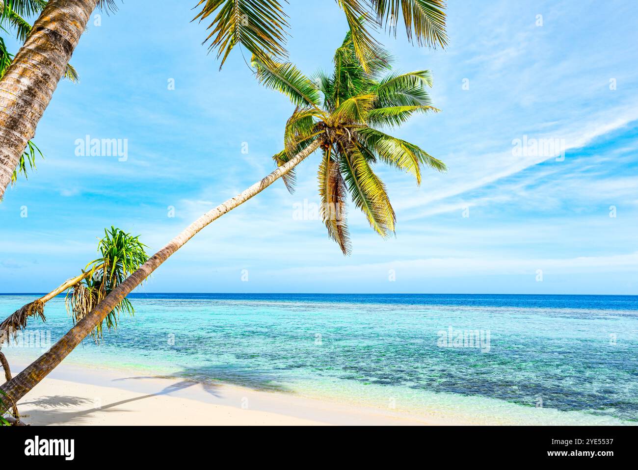 Shoreline of a tropical island in the Maldives and view of the Indian ...