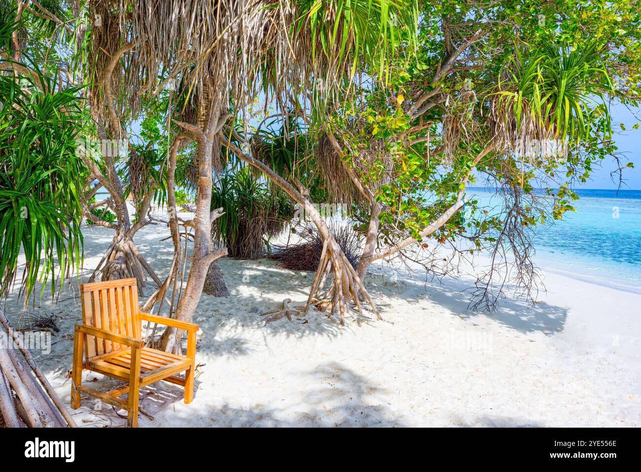 Shoreline of a tropical island in the Maldives and view of the Indian ...