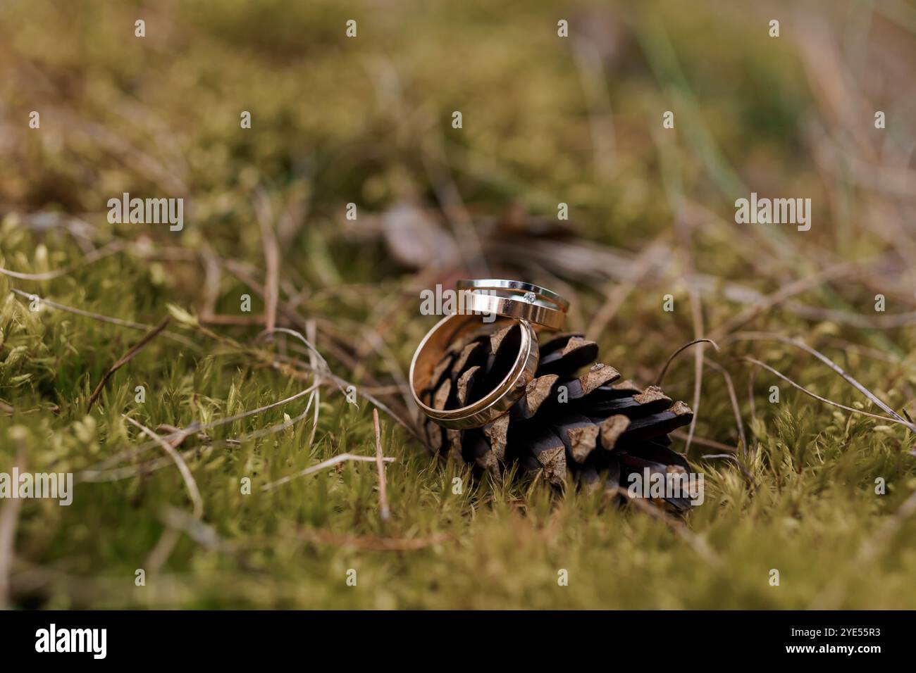 Elegant Wedding Rings Resting on a Pine Cone Amongst Nature's Soft ...