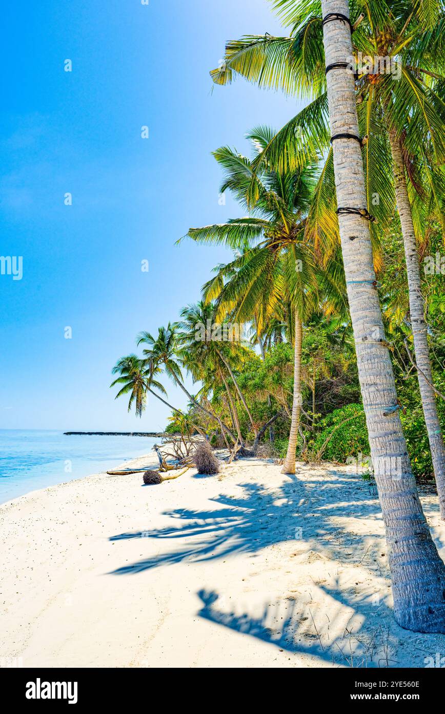 Shoreline of a tropical island in the Maldives and view of the Indian ...
