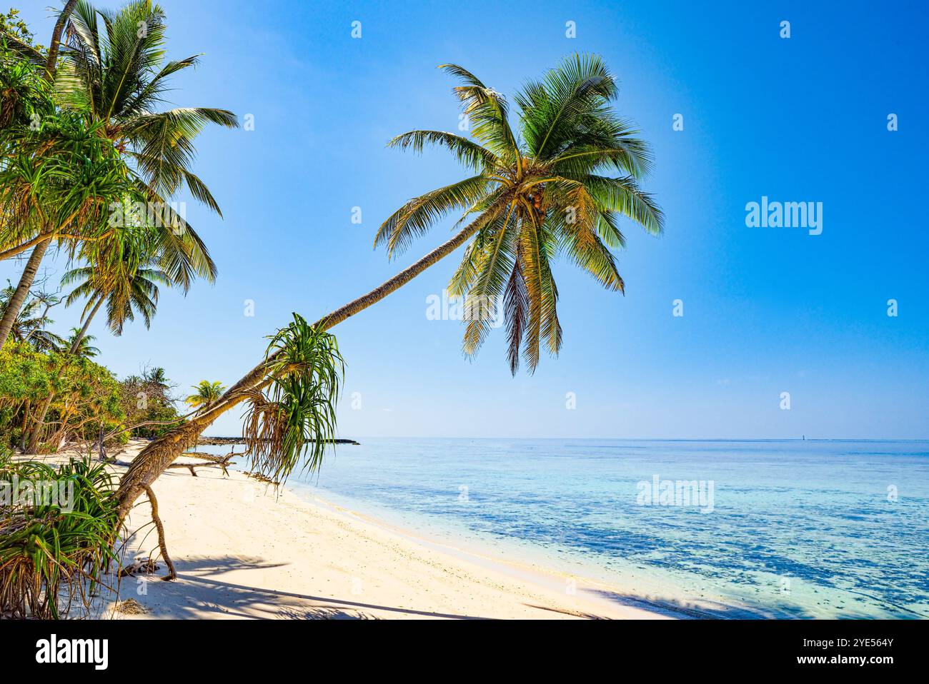 Shoreline of a tropical island in the Maldives and view of the Indian Ocean. Omadhoo (Alif Dhaal ...