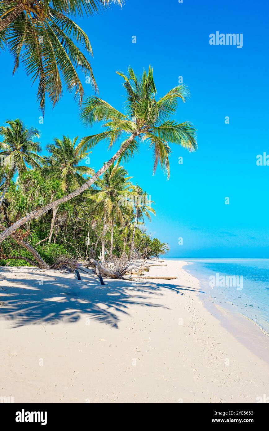 Shoreline of a tropical island in the Maldives and view of the Indian ...