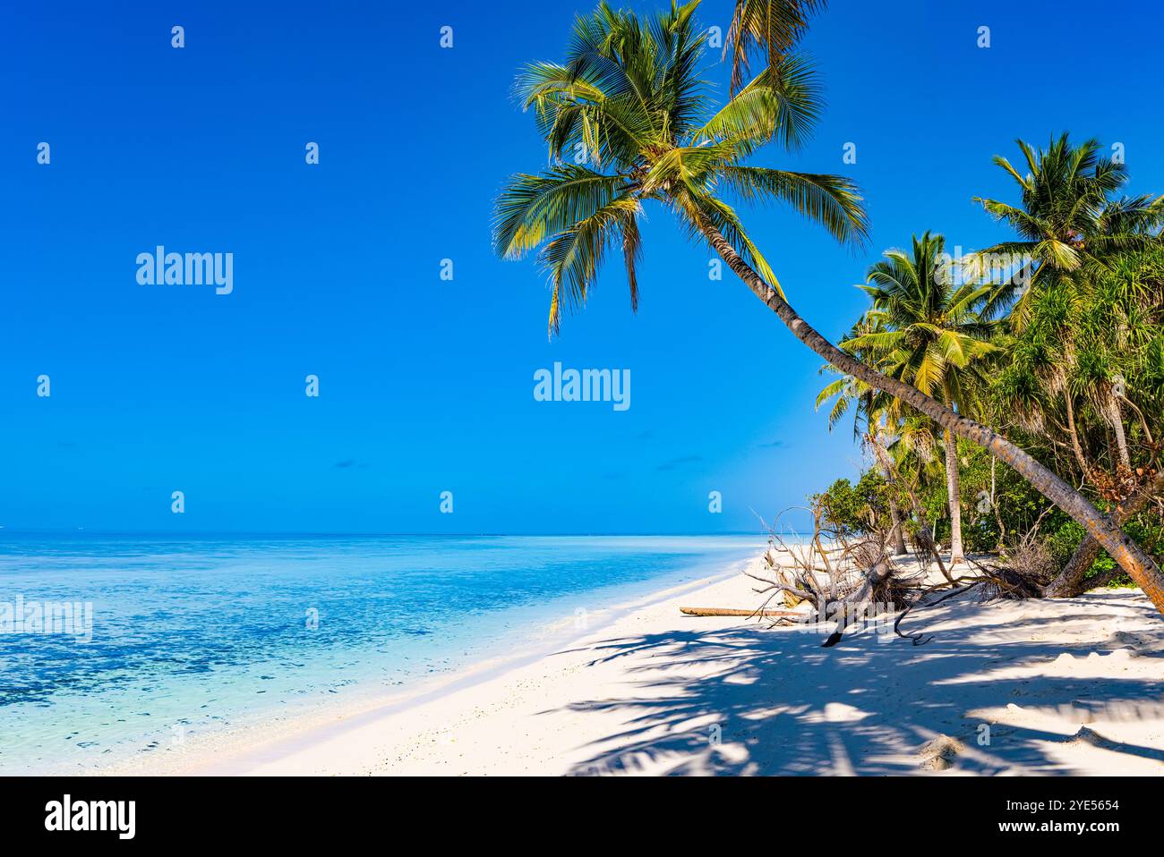 Shoreline of a tropical island in the Maldives and view of the Indian Ocean. Omadhoo (Alif Dhaal ...