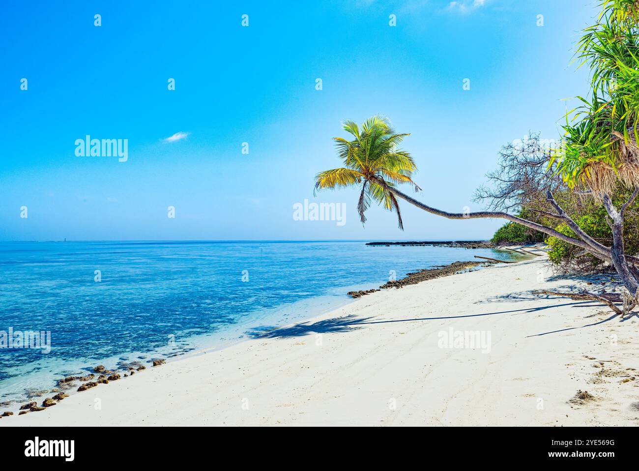 Shoreline of a tropical island in the Maldives and view of the Indian Ocean. Omadhoo (Alif Dhaal ...