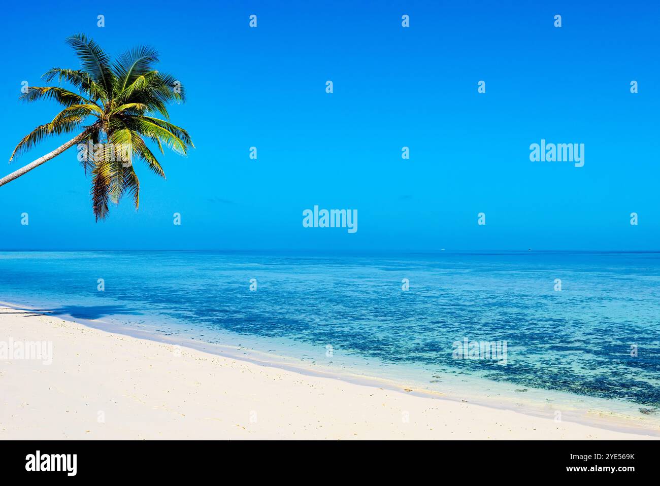 Shoreline of a tropical island in the Maldives and view of the Indian Ocean. Omadhoo (Alif Dhaal ...