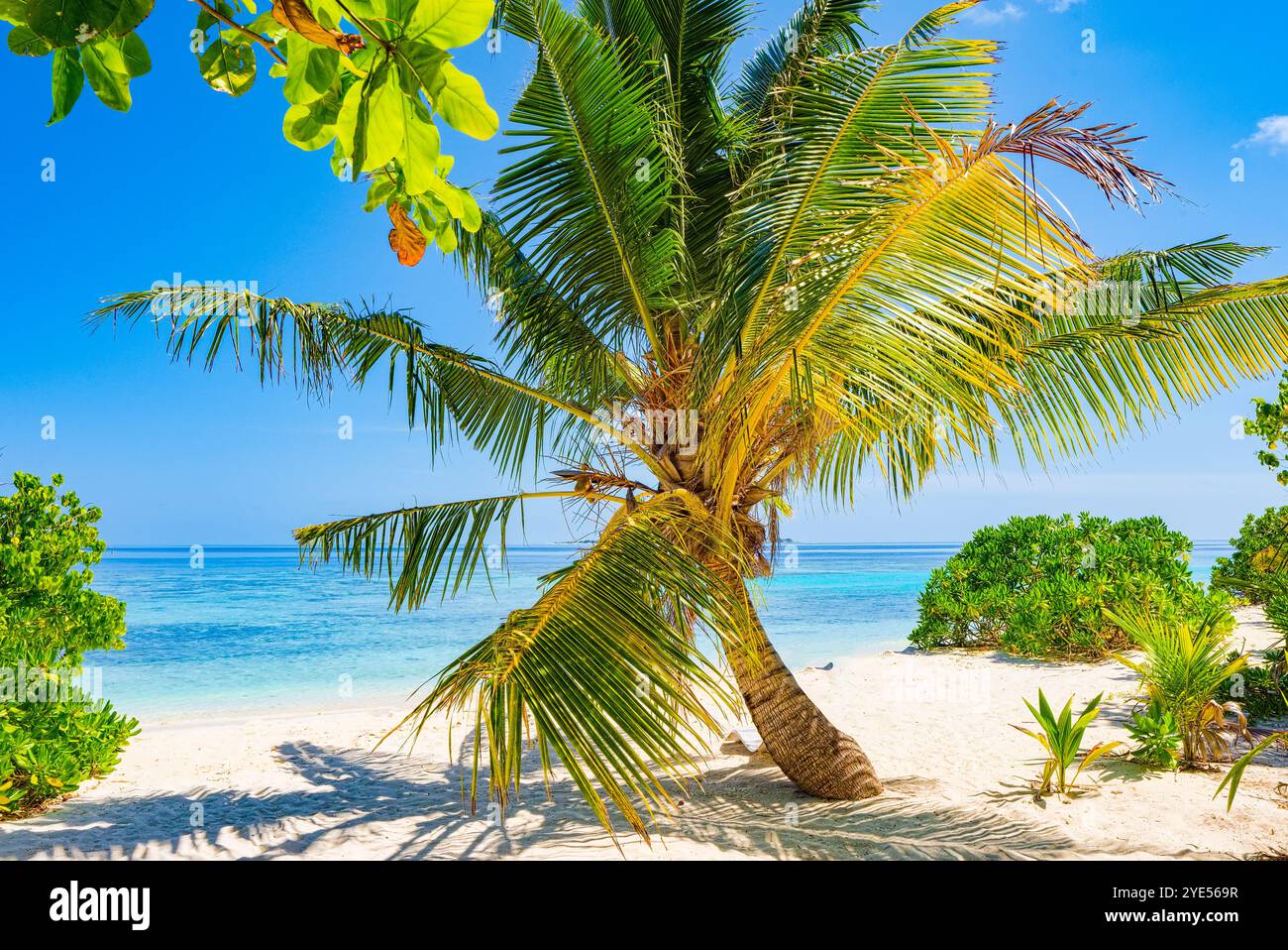 Shoreline of a tropical island in the Maldives and view of the Indian Ocean. Omadhoo (Alif Dhaal ...