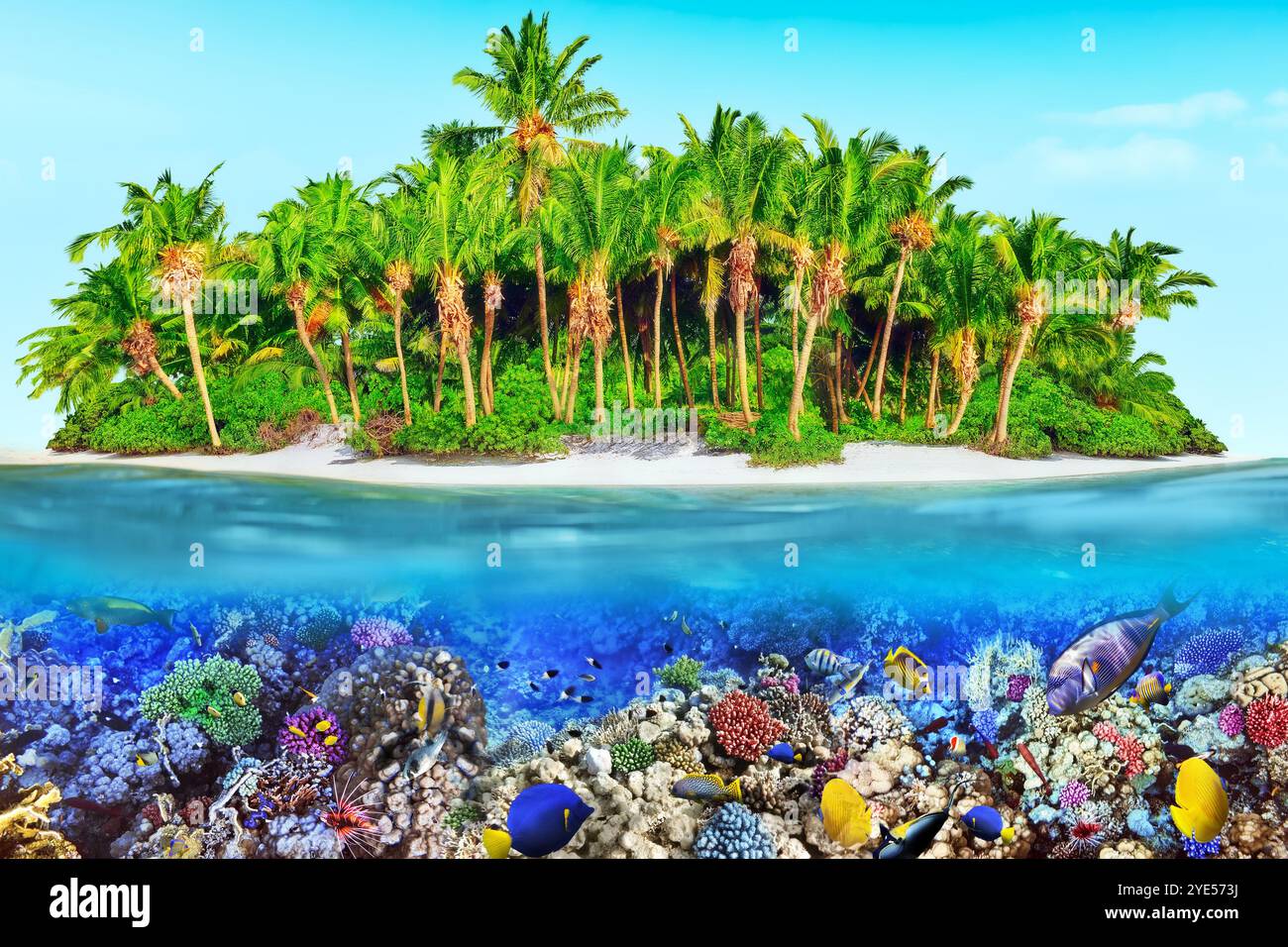 Tropical island within atoll in tropical Ocean and wonderful and ...