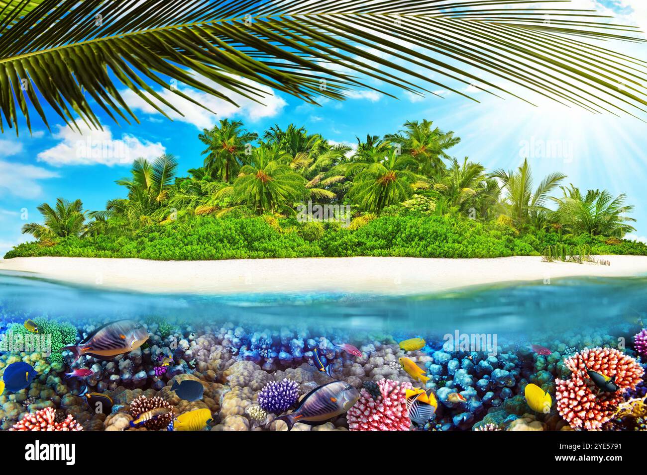 Tropical island within atoll in tropical Ocean and wonderful and ...