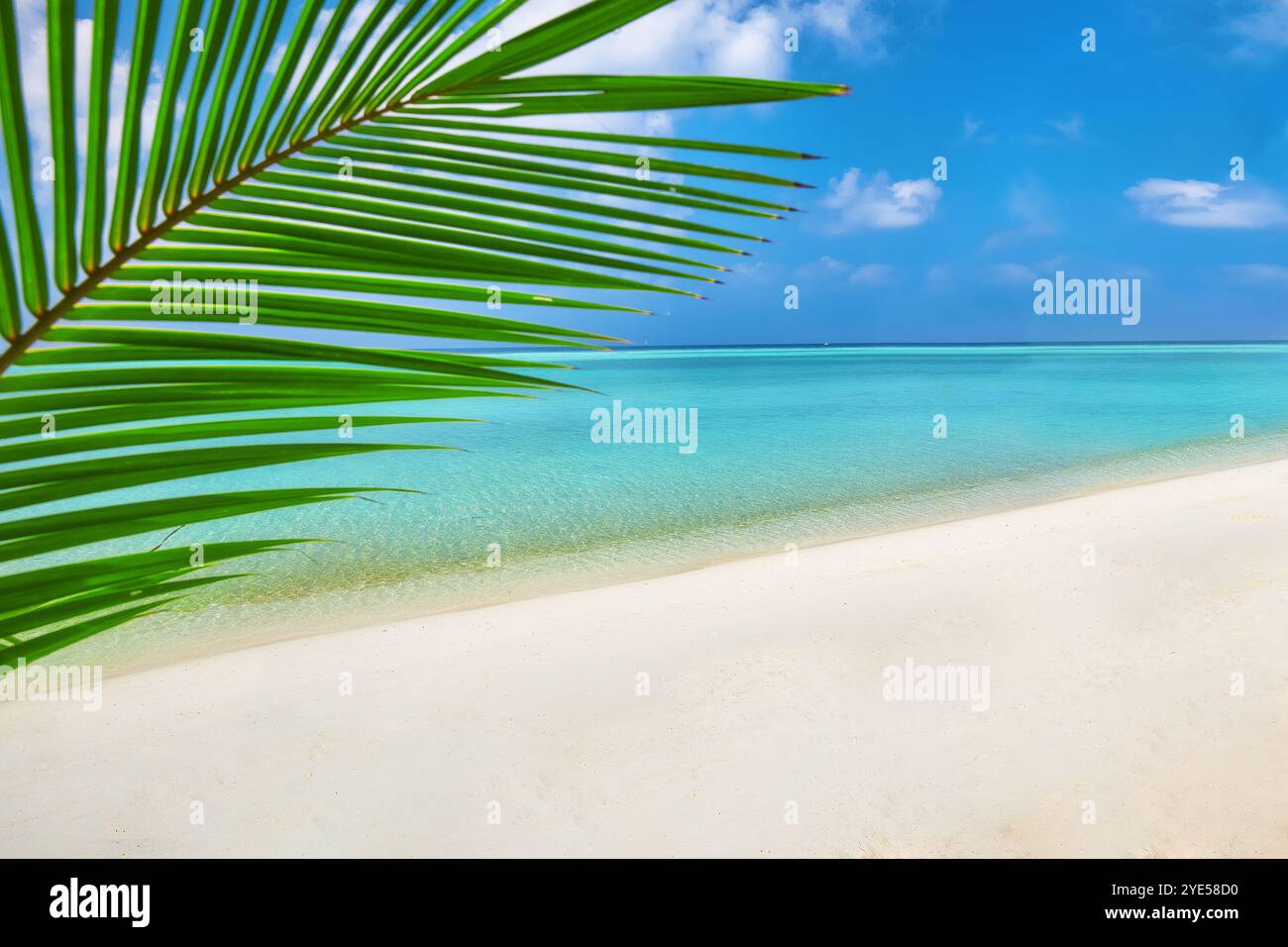 Shoreline of a tropical island in the Maldives and view of the Indian ...