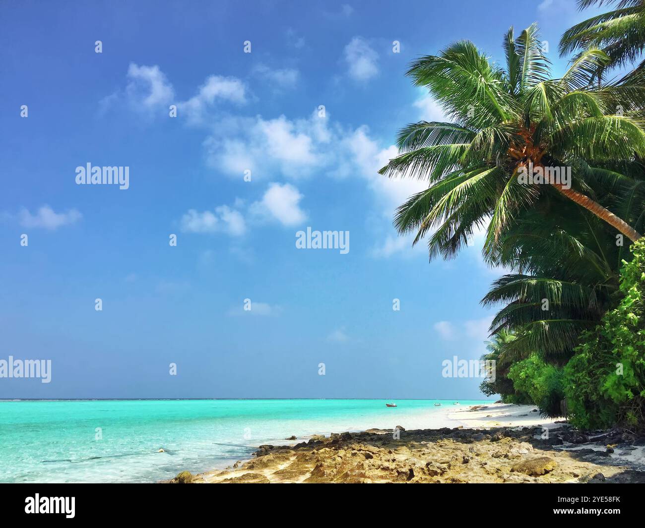 Shoreline of a tropical island in the Maldives and view of the Indian ...
