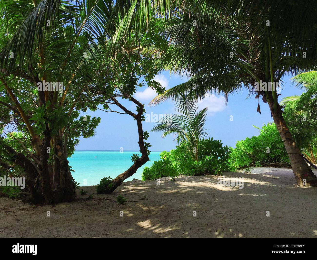 Shoreline of a tropical island in the Maldives and view of the Indian ...