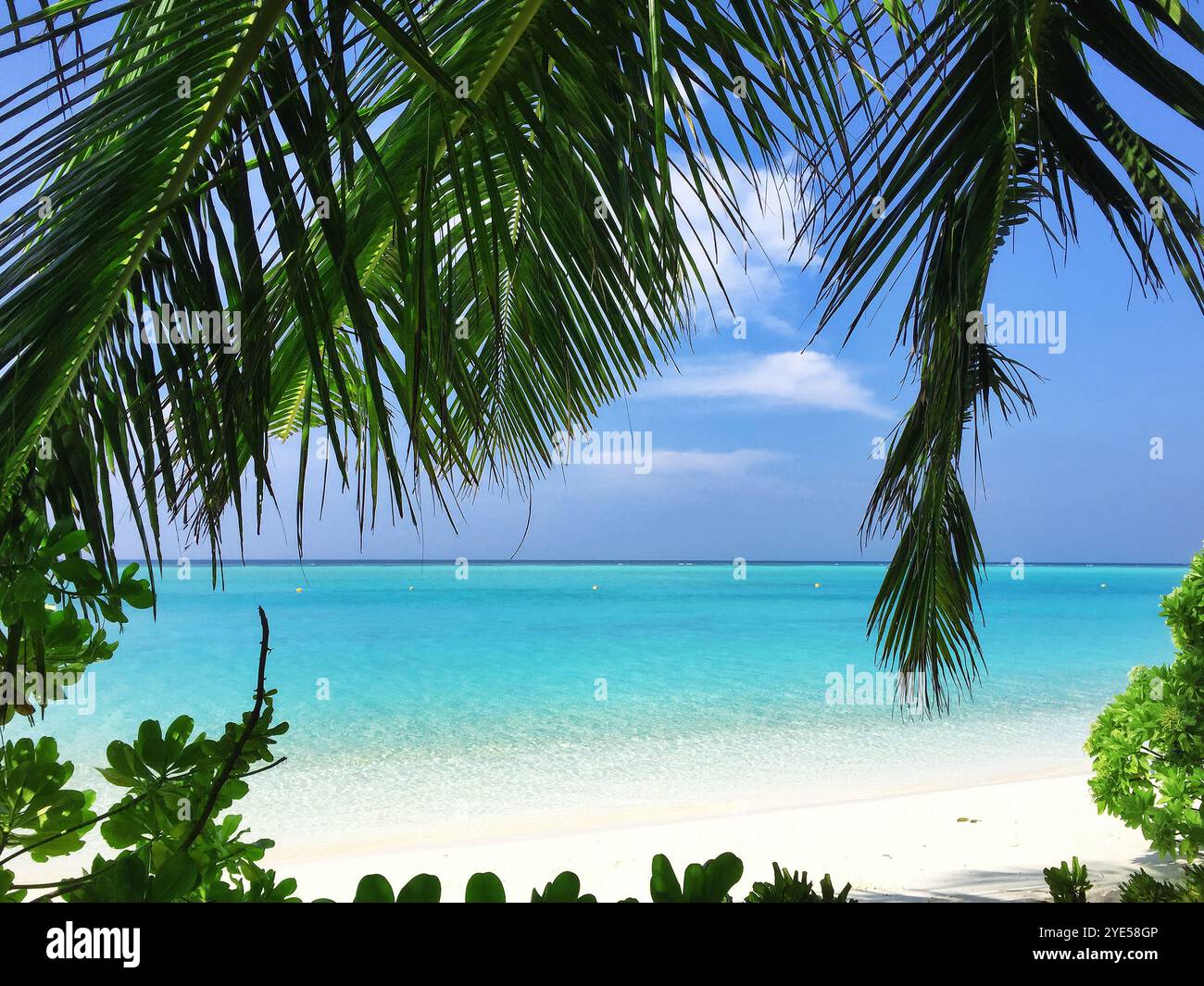 Shoreline of a tropical island in the Maldives and view of the Indian ...