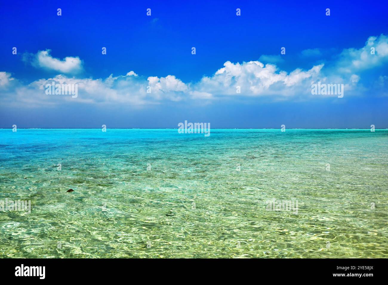 Skyline of Indian Ocean view from tropical island in the Maldives Stock ...