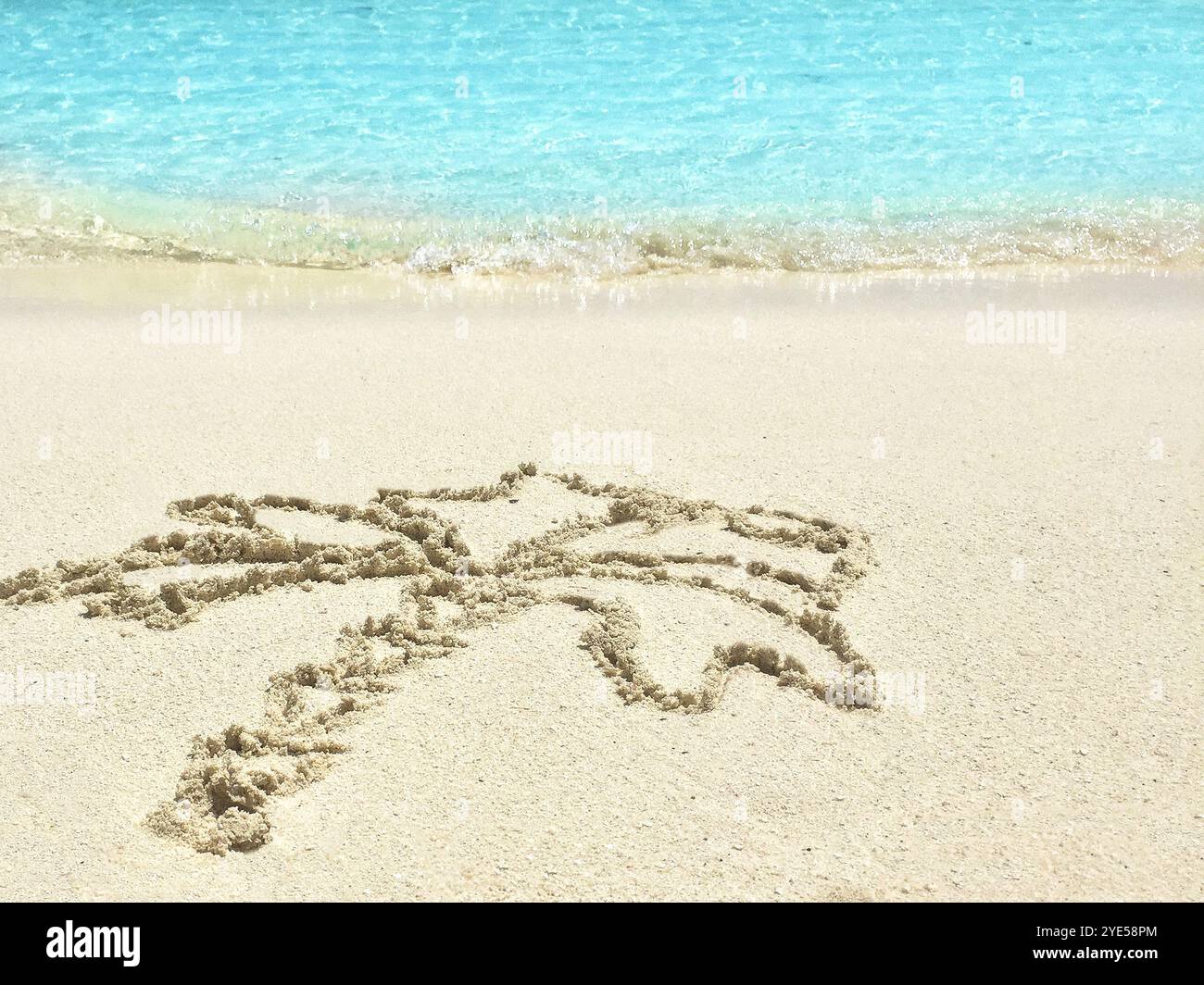 Drawing "Palm-tree" in the sand on a tropical island, Maldives Stock ...