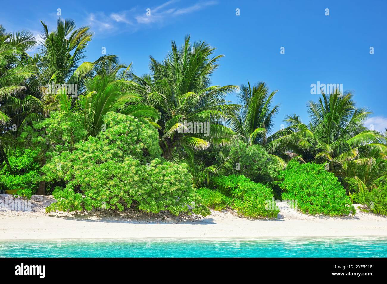 Shoreline of a tropical island in the Maldives and view of the Indian ...