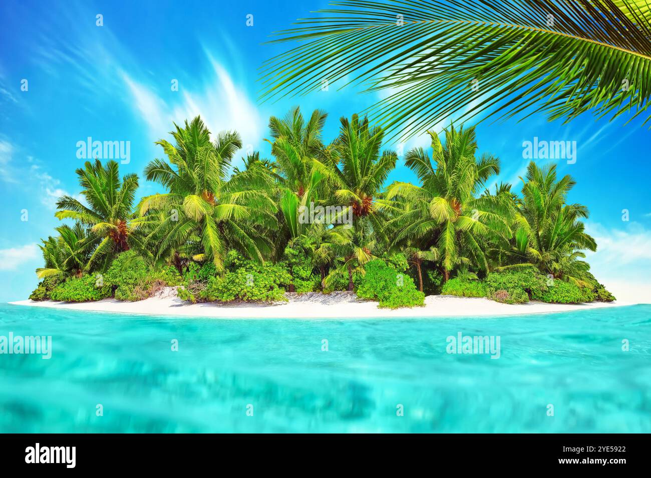 Whole tropical island within atoll in tropical Ocean. Uninhabited and ...