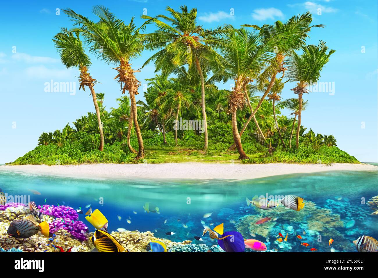 Tropical island within atoll in tropical Ocean and wonderful and ...