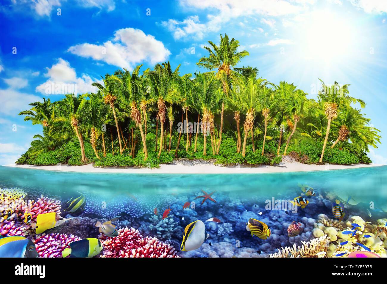 Tropical island within atoll in tropical Ocean and wonderful and ...
