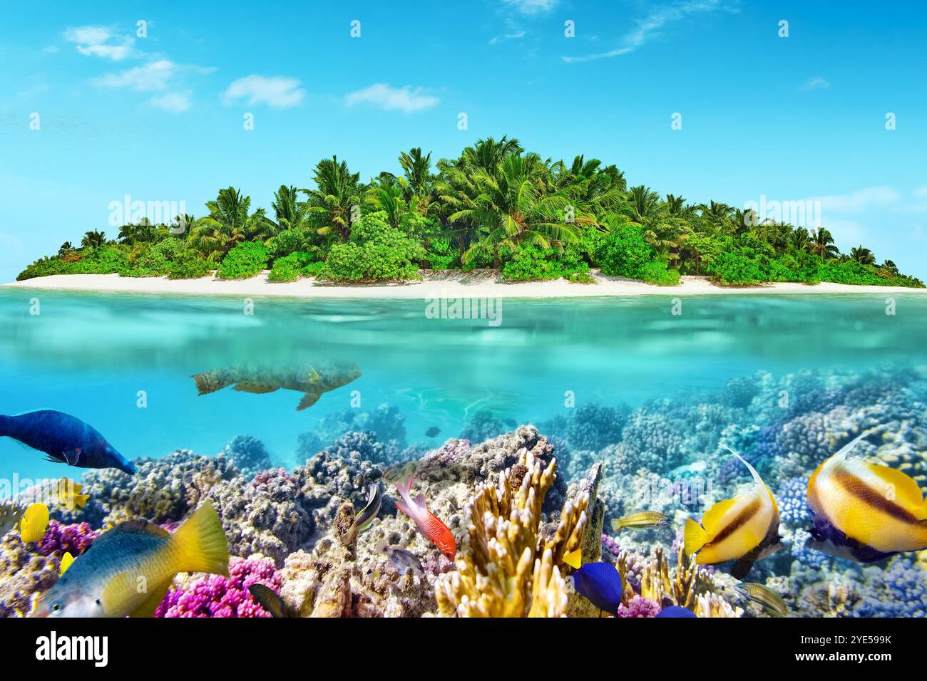 Tropical island within atoll in tropical Ocean and wonderful and ...