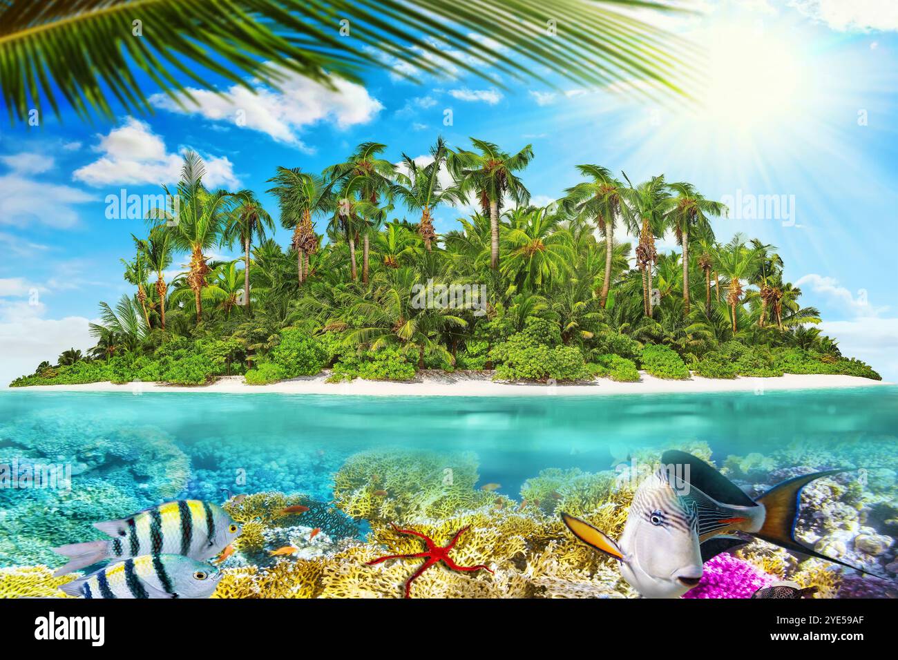 Tropical island within atoll in tropical Ocean and wonderful and ...
