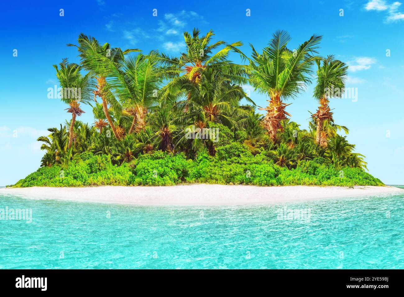 Whole tropical island within atoll in tropical Ocean. Uninhabited and ...