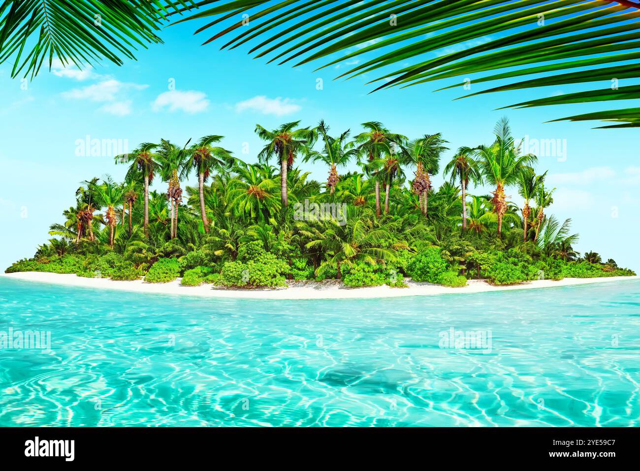 Whole tropical island within atoll in tropical Ocean. Uninhabited and ...