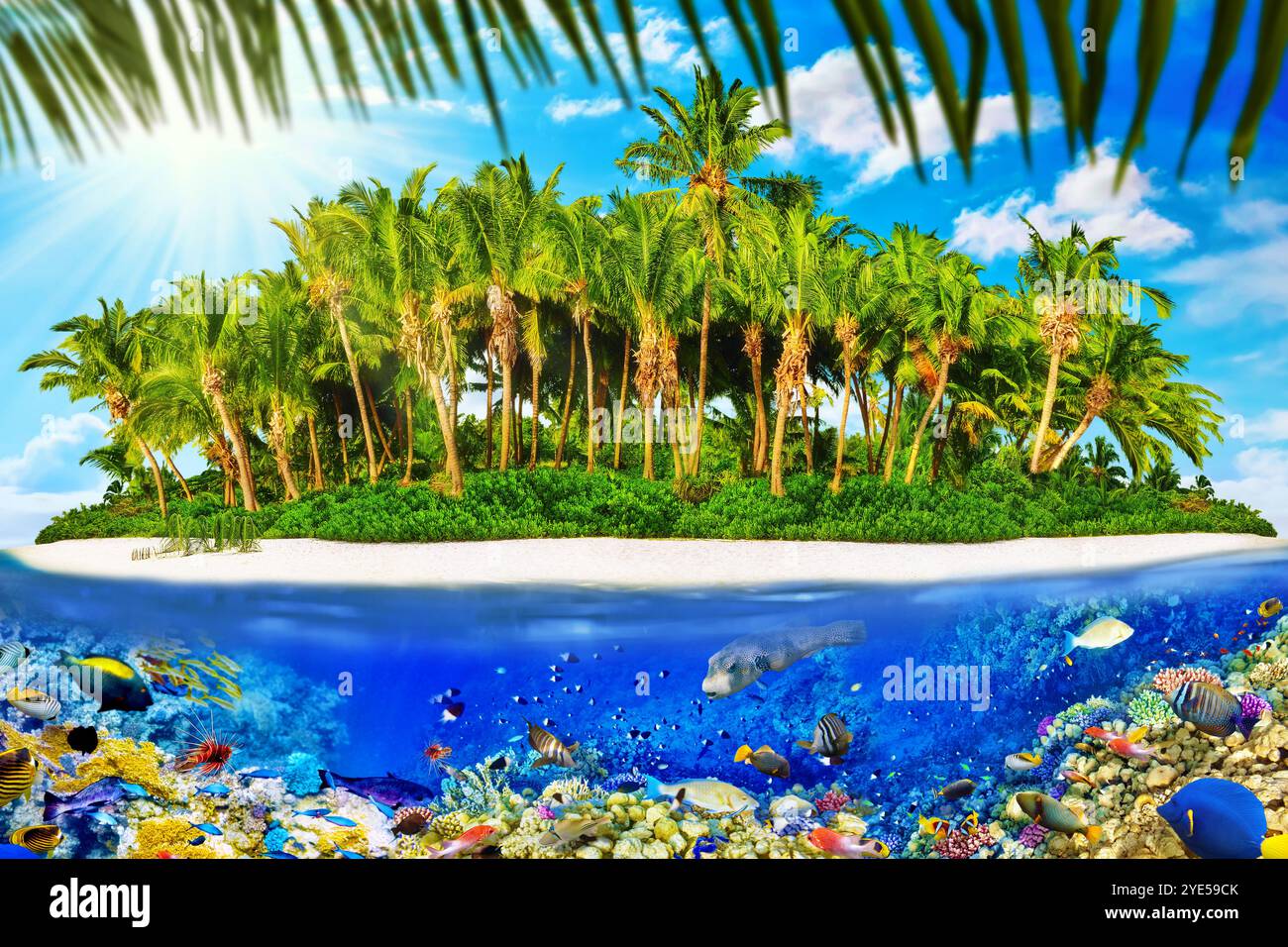 Tropical island within atoll in tropical Ocean and wonderful and ...