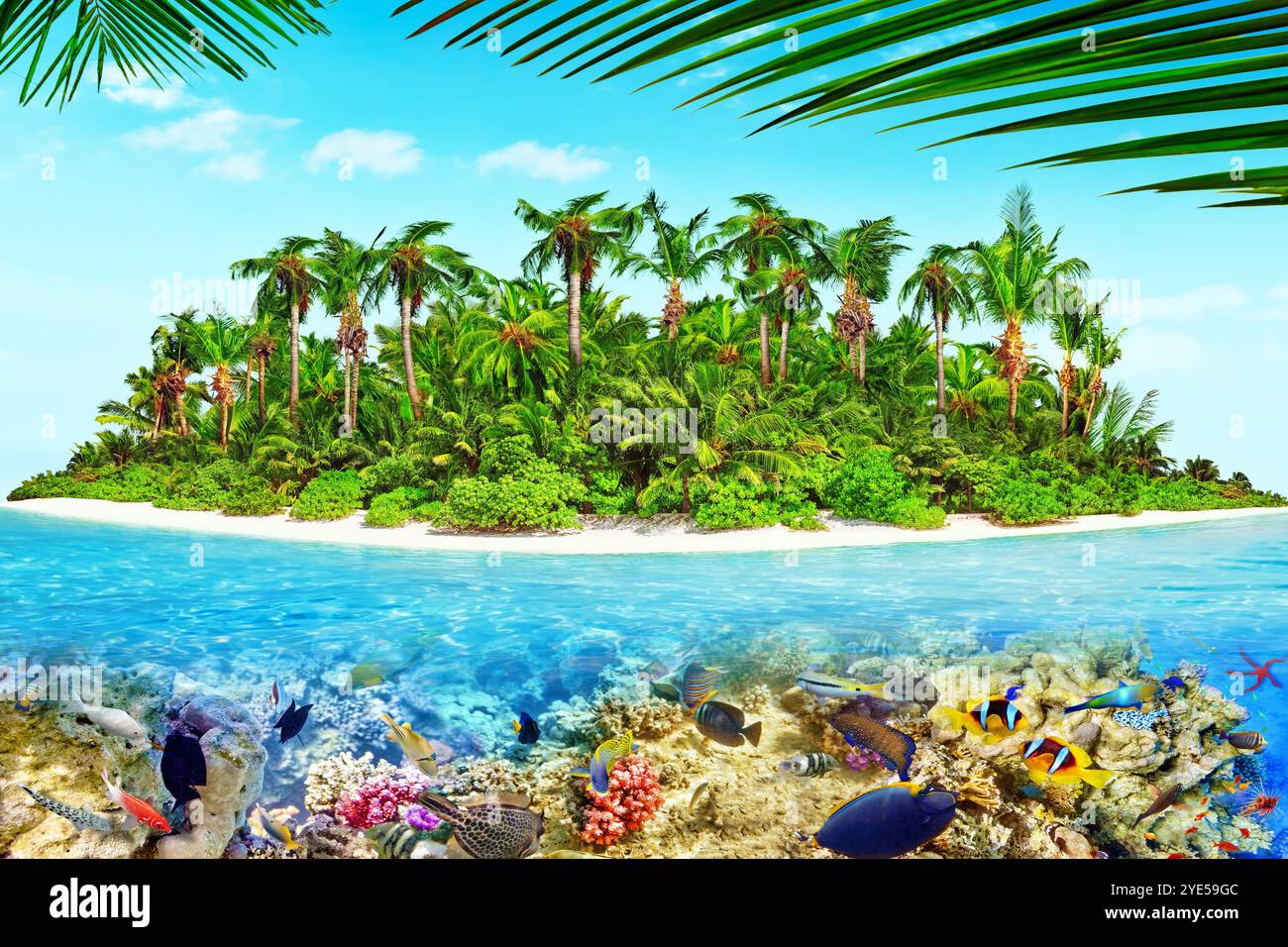 Tropical island within atoll in tropical Ocean and wonderful and ...