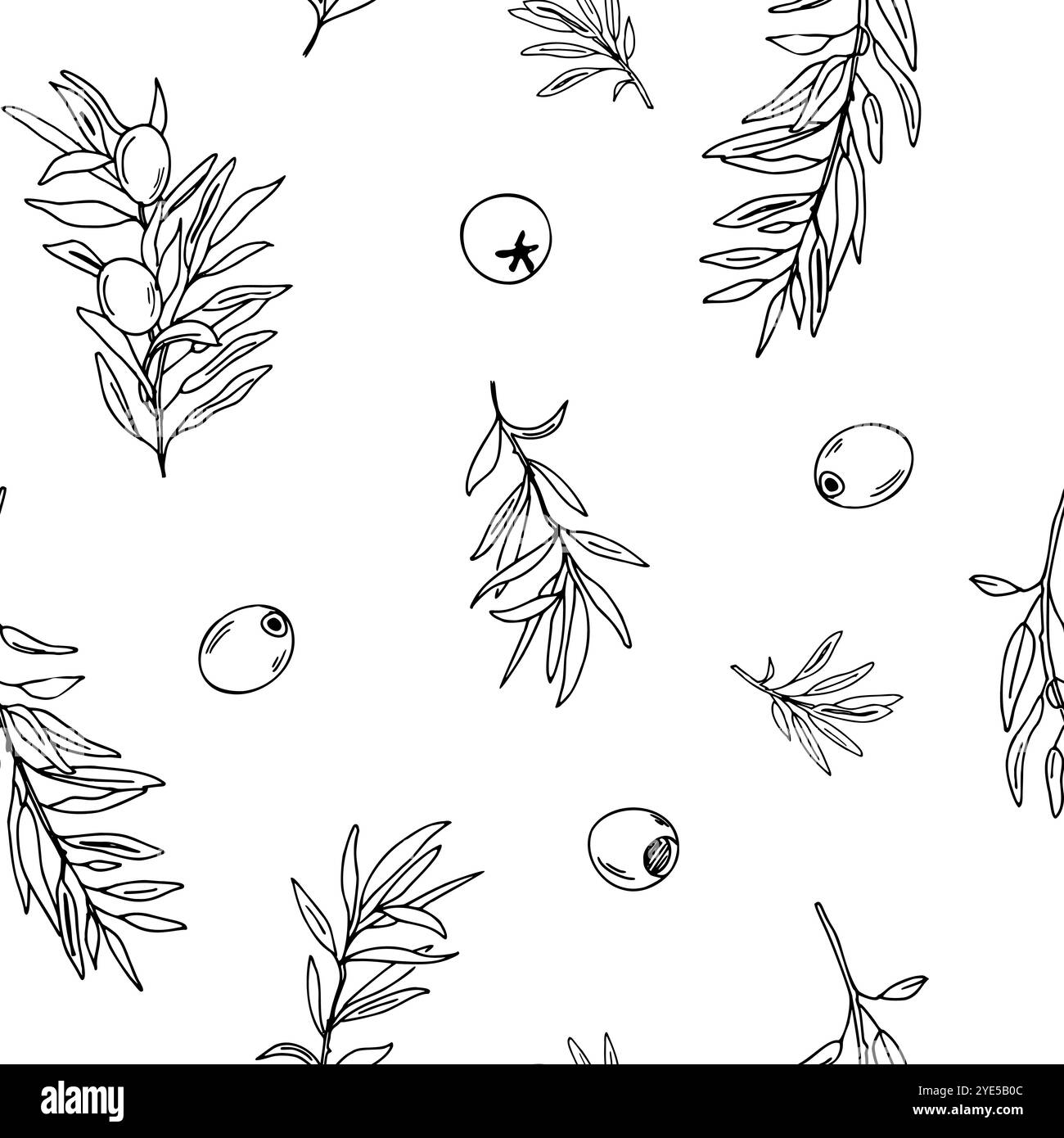 Seamless black olive pattern greek olives on branches with leaves Black ...
