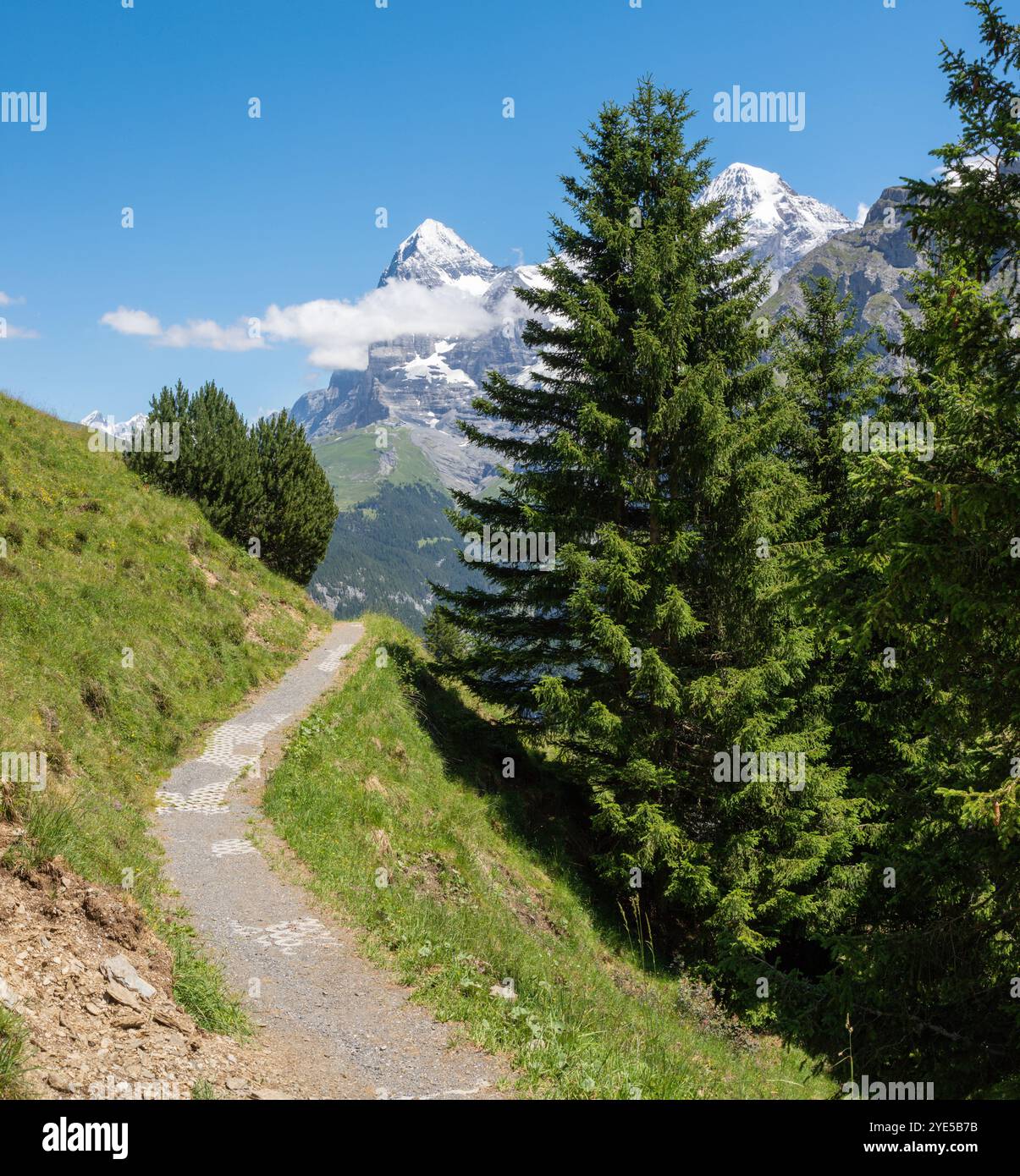 Eiger mönch view from hi-res stock photography and images - Alamy