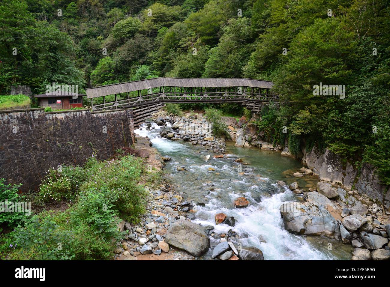 The Historical Buzlupinar Bridge in Cayeli, Rize, Turkey was built of ...