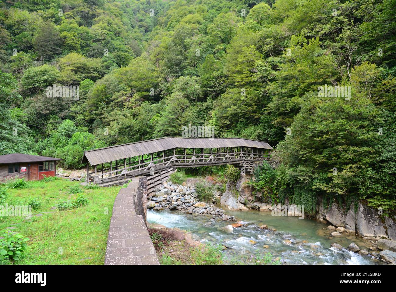 The Historical Buzlupinar Bridge in Cayeli, Rize, Turkey was built of ...