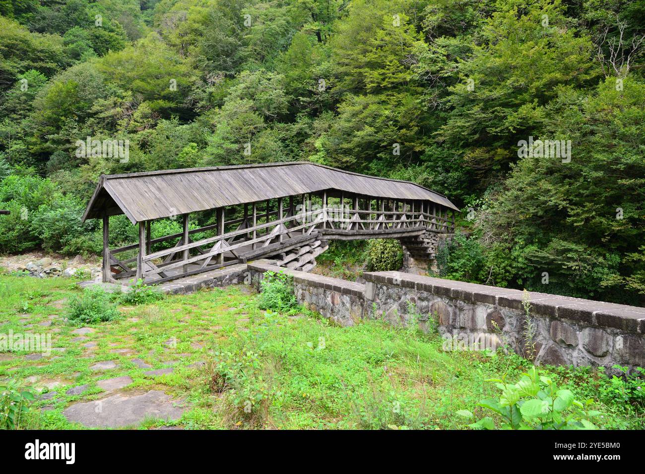 The Historical Buzlupinar Bridge in Cayeli, Rize, Turkey was built of ...