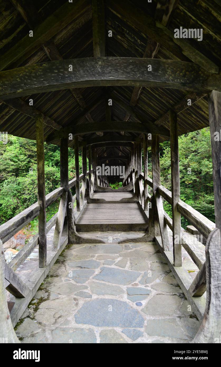The Historical Buzlupinar Bridge in Cayeli, Rize, Turkey was built of ...