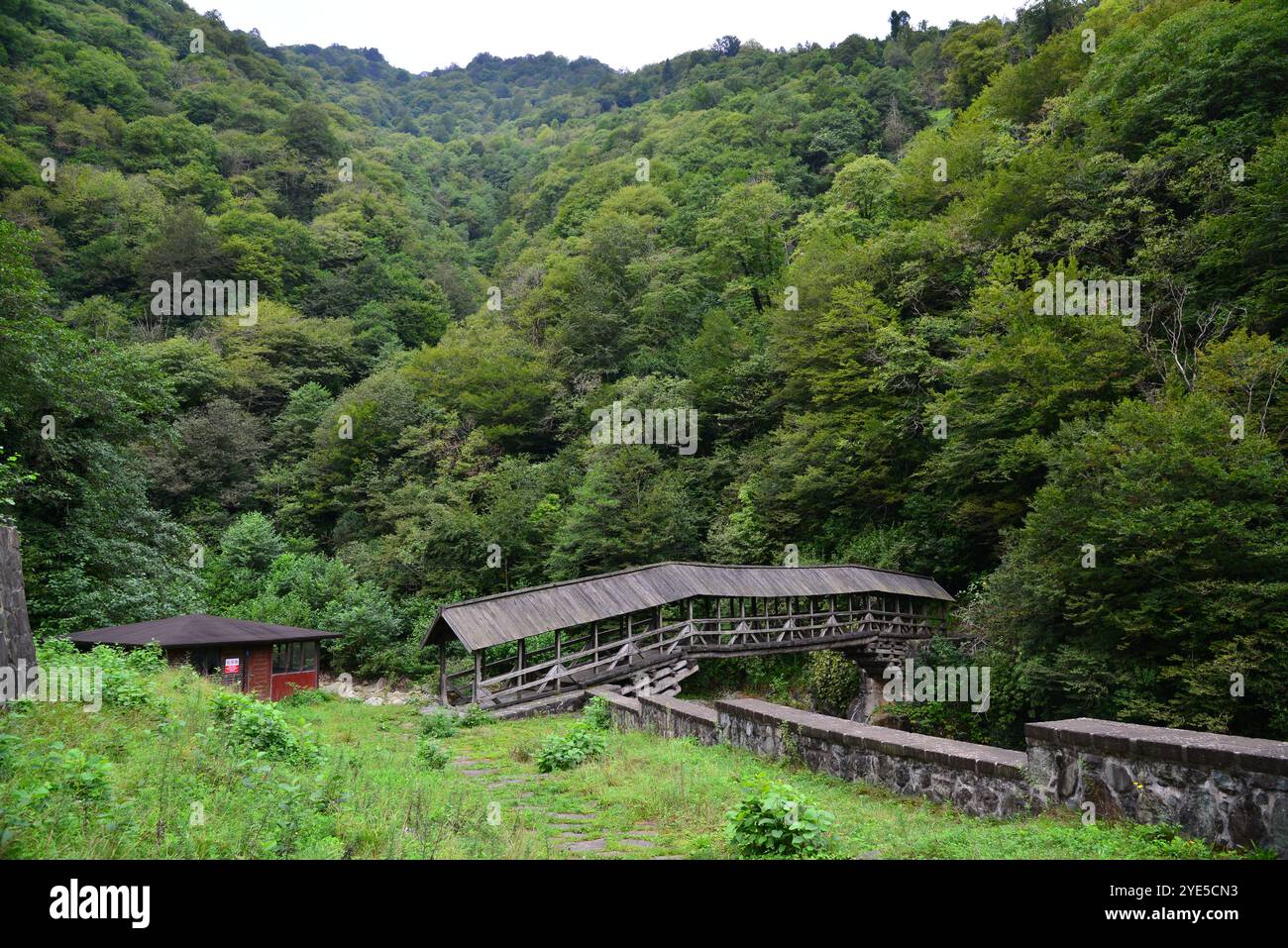 The Historical Buzlupinar Bridge in Cayeli, Rize, Turkey was built of ...