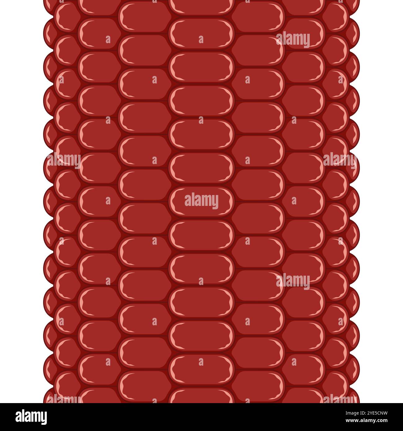 Vertical seamless pattern with corn cob texture, maize. Color vector ...