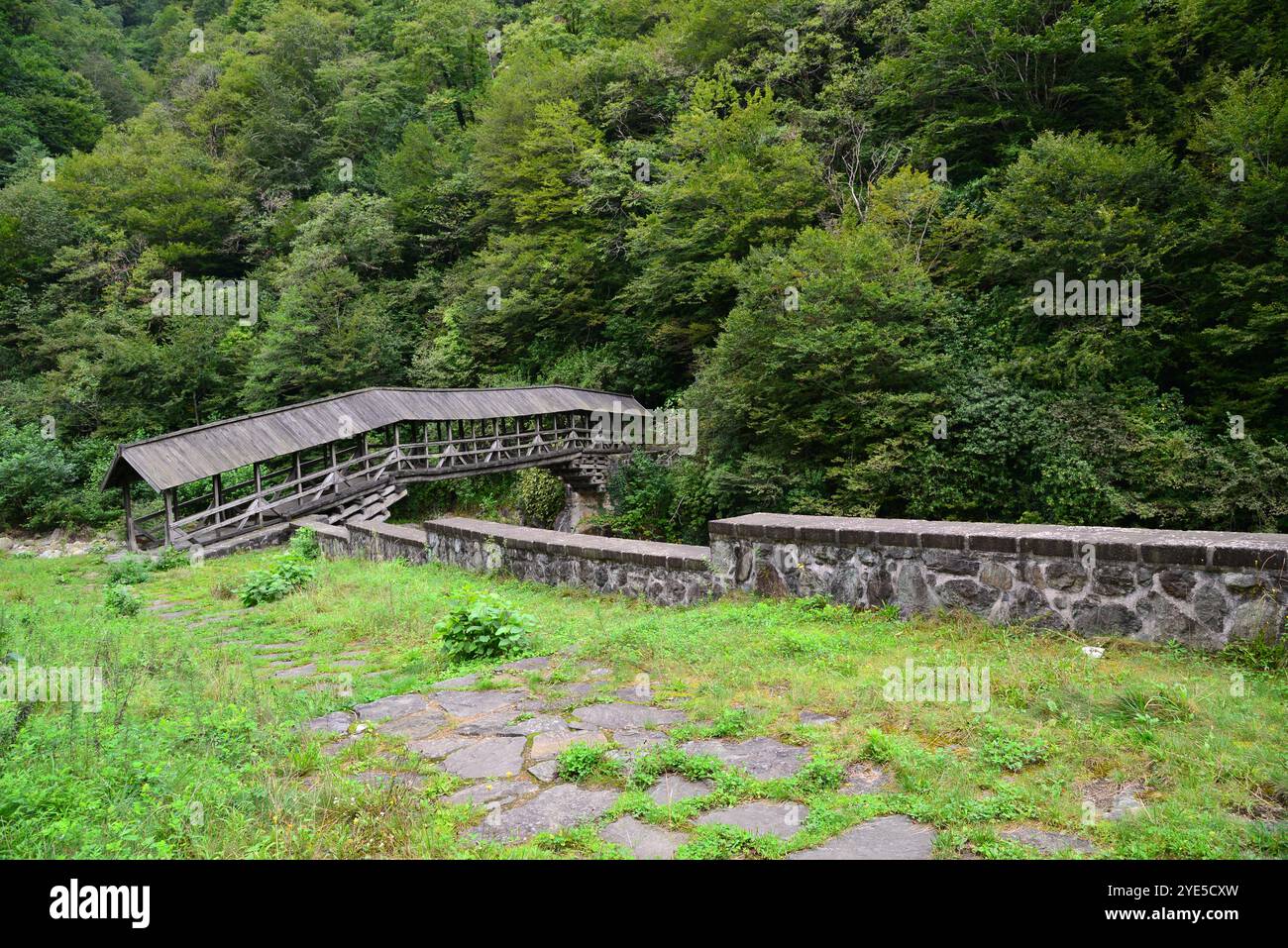 The Historical Buzlupinar Bridge in Cayeli, Rize, Turkey was built of ...