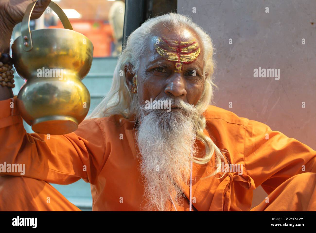Ascetic monk Sadhu in India with beard, white hair and painted face ...