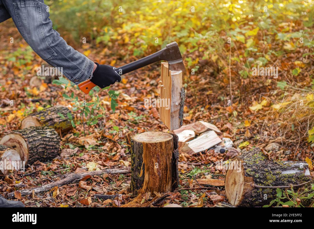 Man chopping wood on stump hi-res stock photography and images - Alamy
