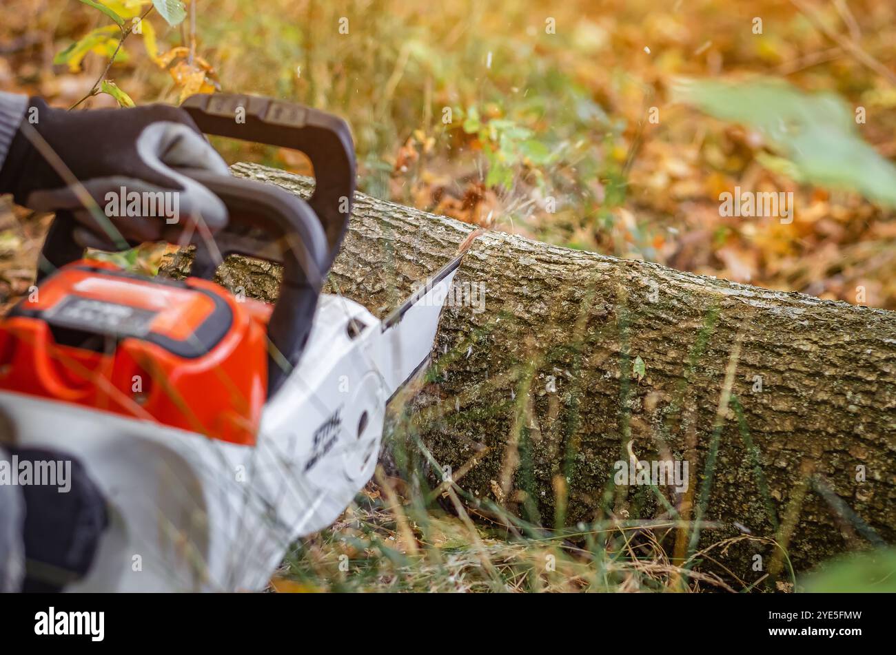 Operation lumberjack hi-res stock photography and images - Alamy