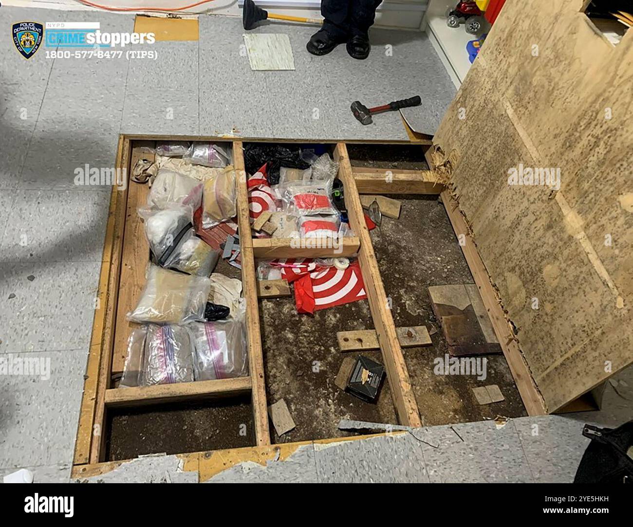 FILE0 In this photo provided by the New York City Police Department, a ...