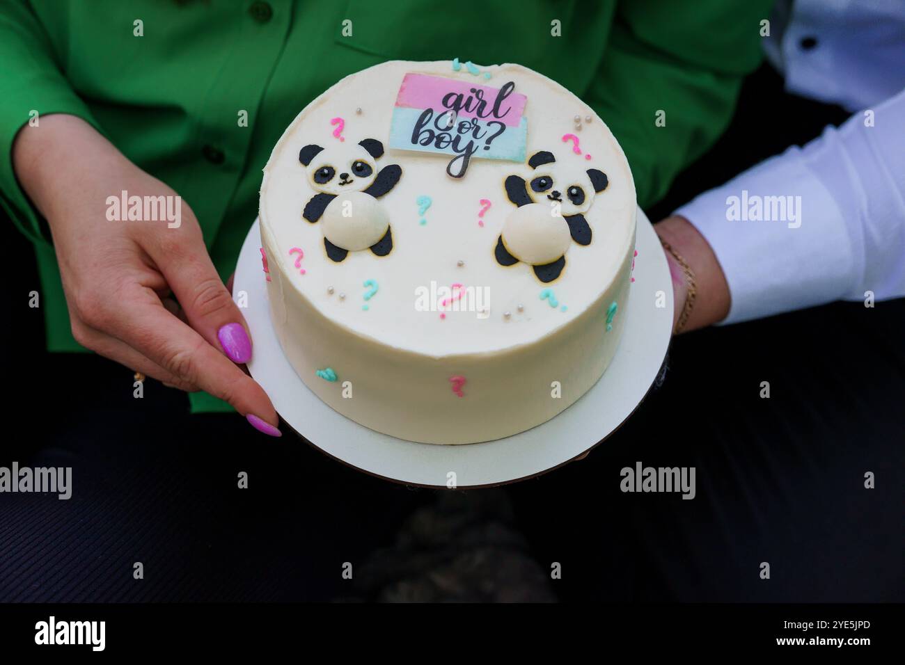 Delightful Gender Reveal Cake with Panda Decorations and Question Marks ...