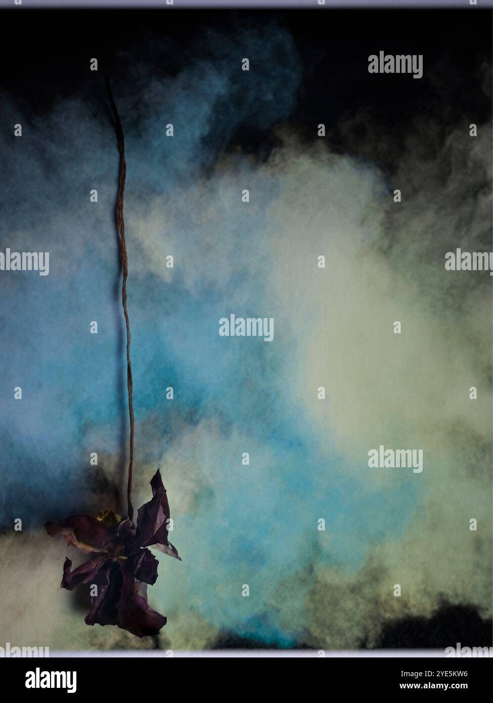 Withered space hi-res stock photography and images - Alamy