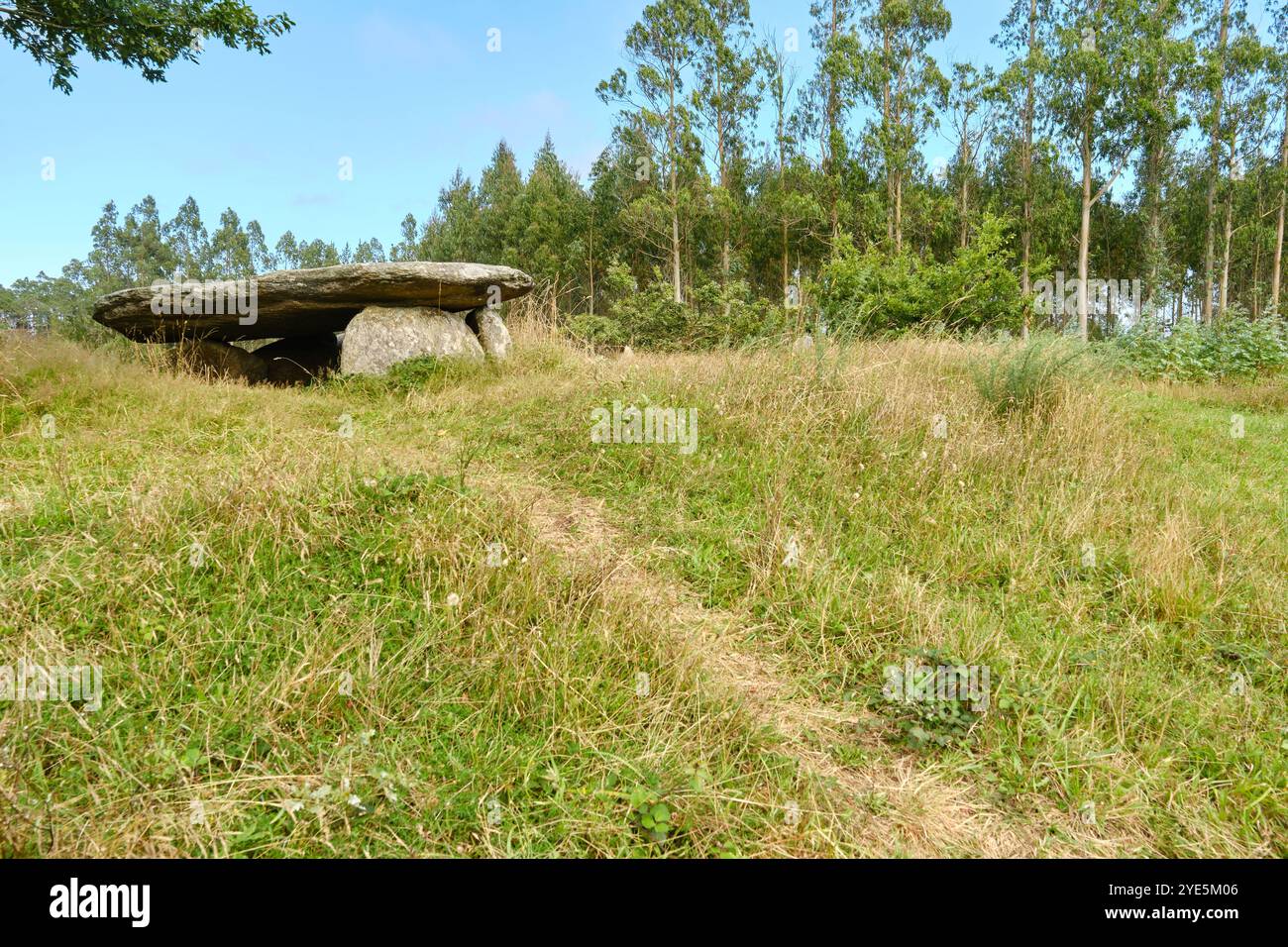 Dolmen Pedra Da Arca, prehistoric tomb in Galicia Stock Photo - Alamy