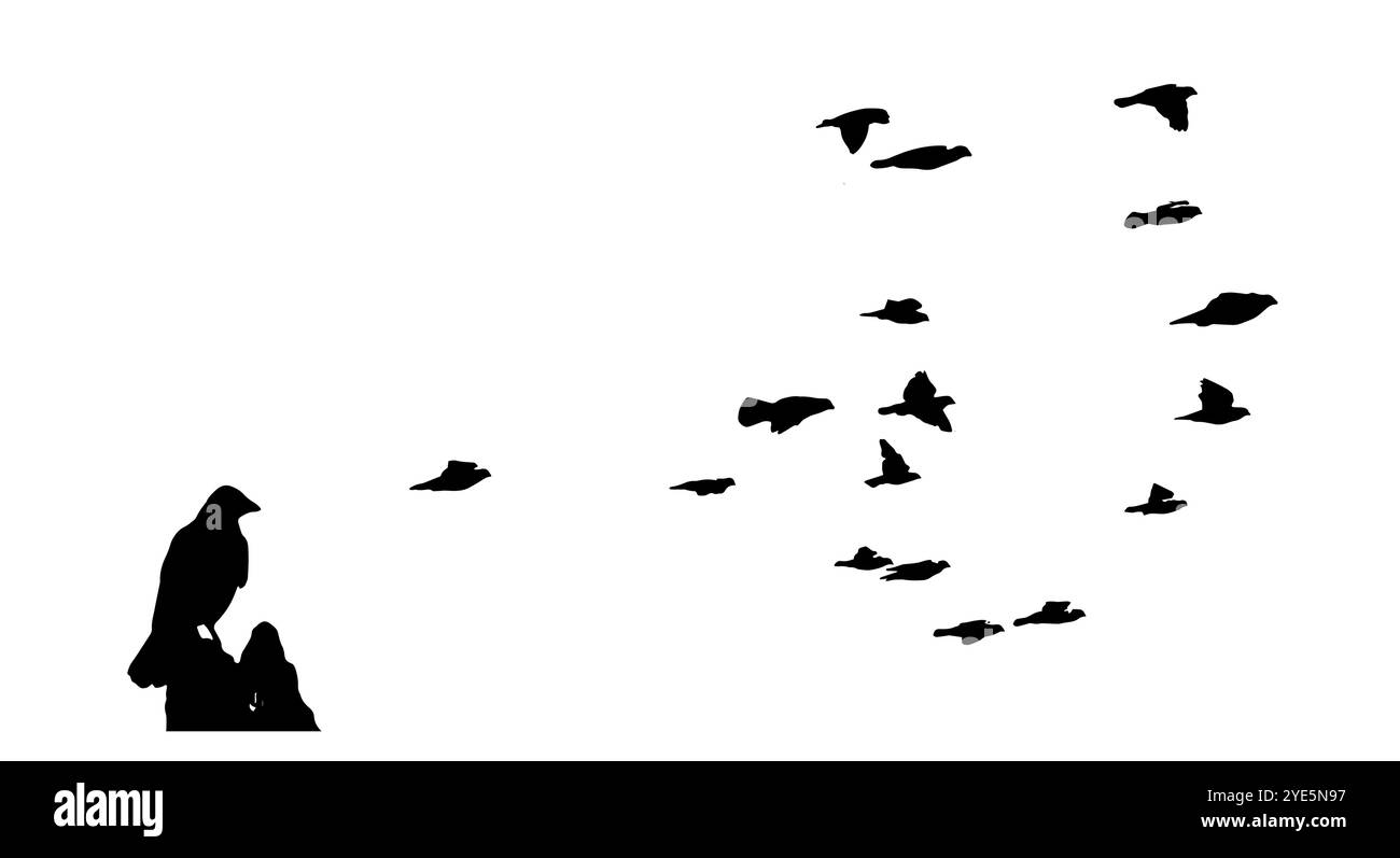 Raven fighting Stock Vector Images - Alamy