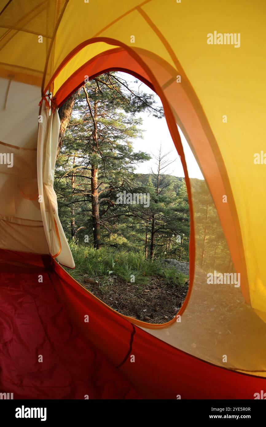 Modern camping tent in wilderness at summer, view on forest through ...