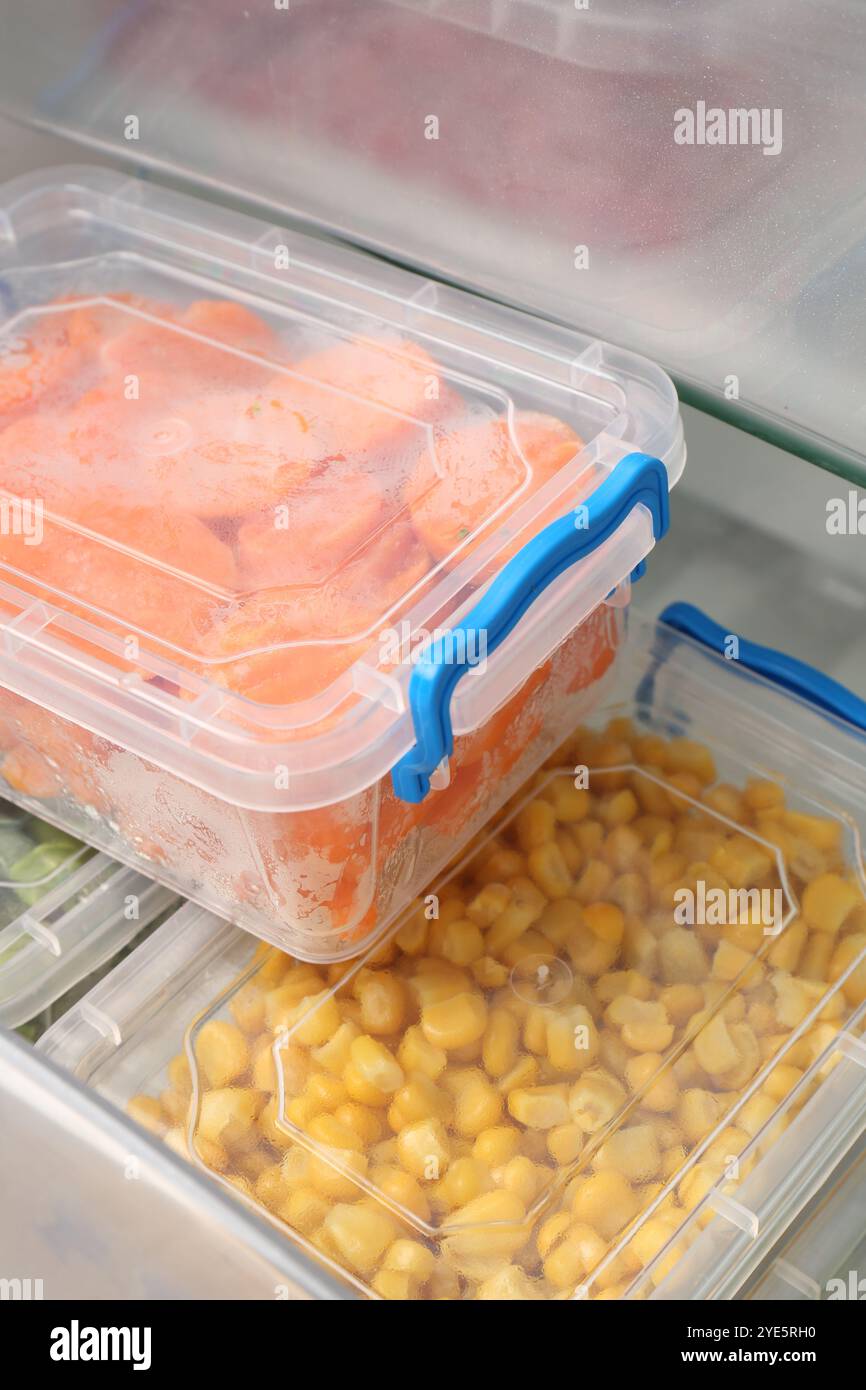 Plastic containers with different frozen vegetables in refrigerator ...