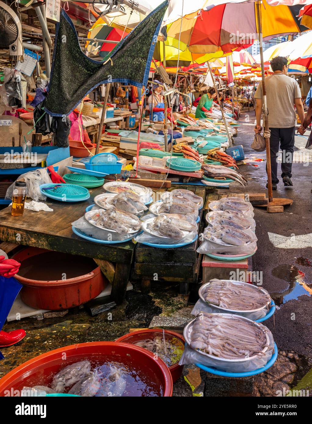 Fish stall selling cuttlefish in Jagalchi Fish Market, Busan, South ...